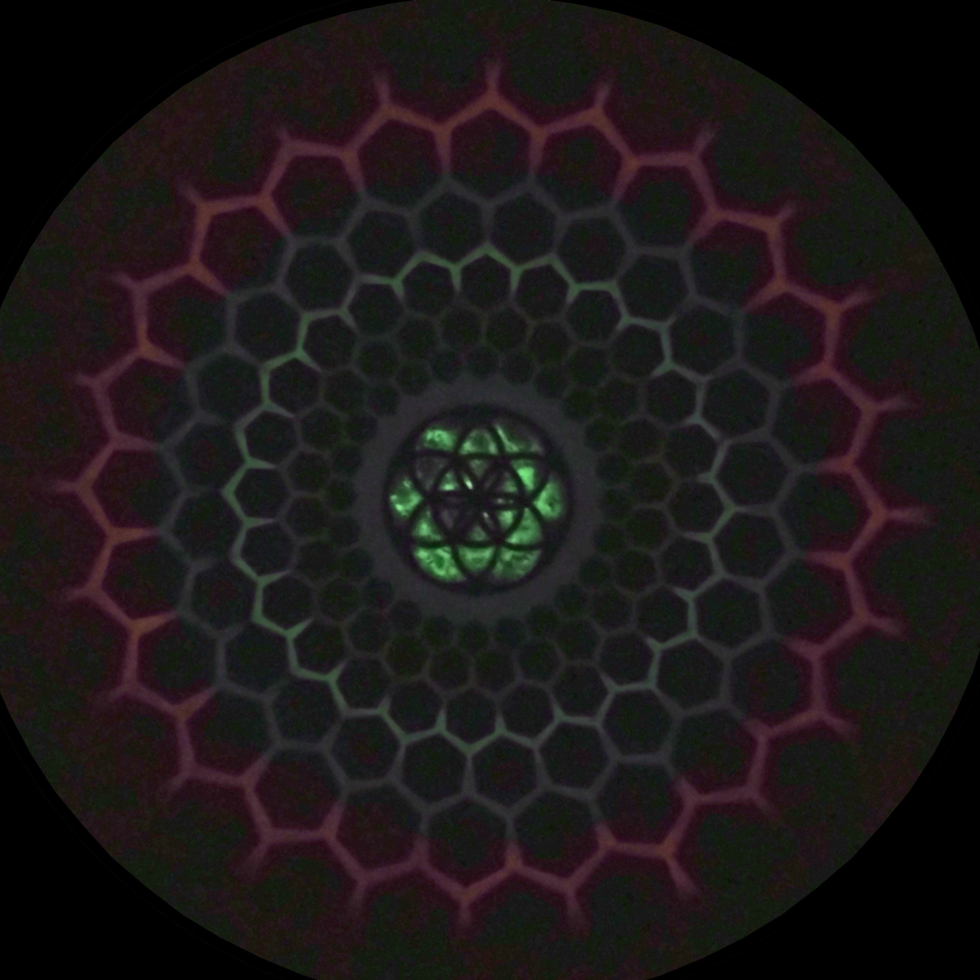 FLOW DISC PLUS :: Centrumserafin